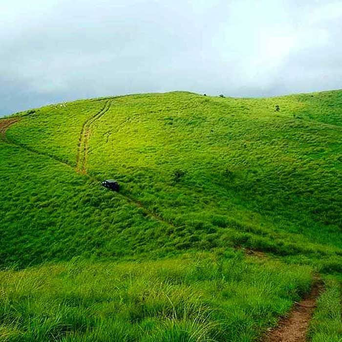 Morningmist Holidays